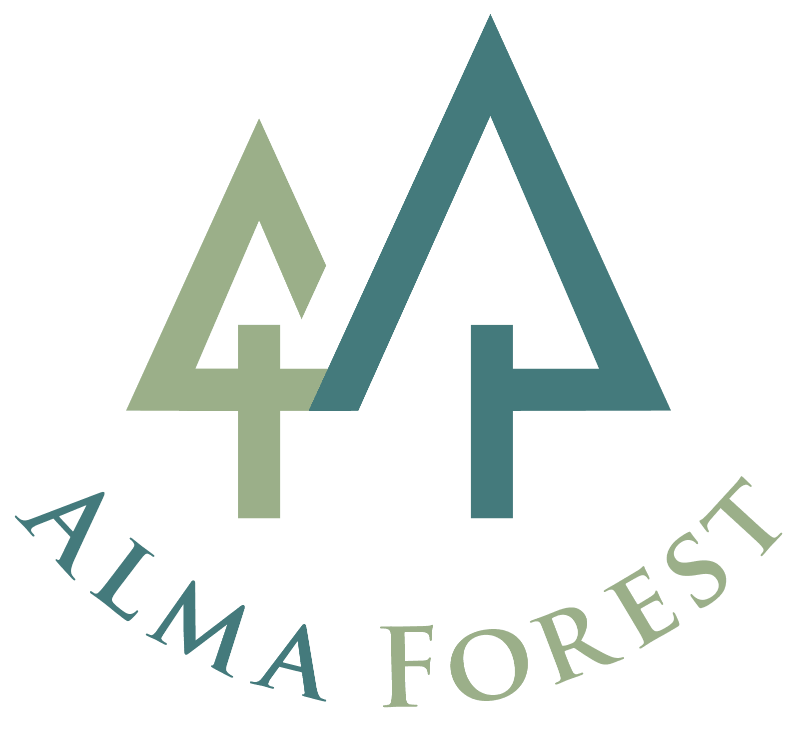 Alma Forest School - Quality Education for Sustainable Social ...
